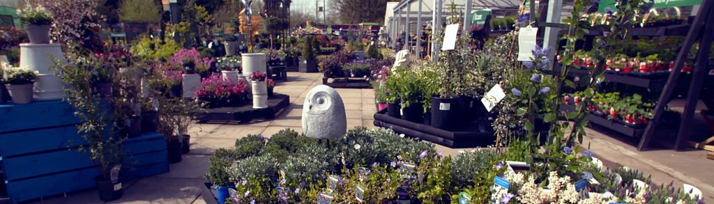 Azure Garden Centre & Café – Azure Charitable Foundation Azure Garden Centre & Café – Azure Charitable Foundation